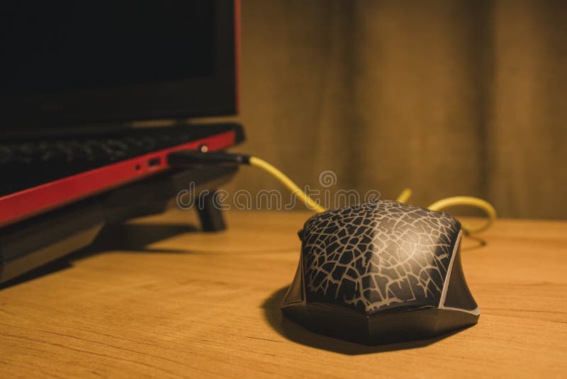 Mouse Under Table Stock Photos - Free & Royalty-Free Stock Photos from ...