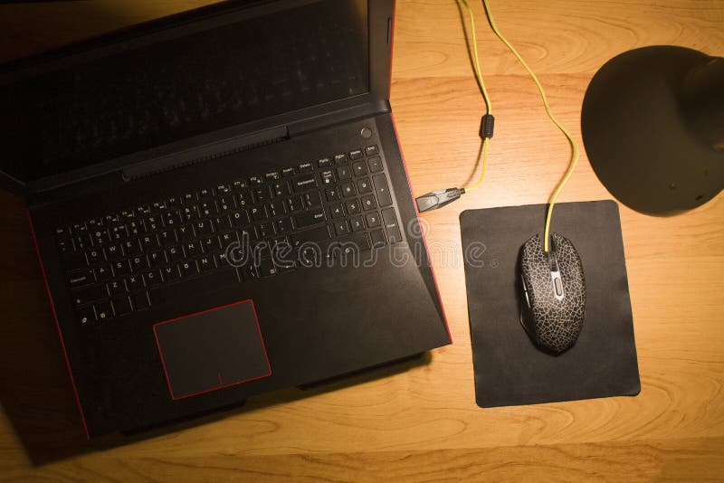 Mouse Under Table Stock Photos - Free & Royalty-Free Stock Photos from ...