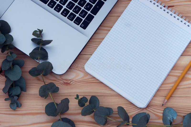 Laptop Computer, Notepad, Pencil, Green Branch on Wooden Background ...