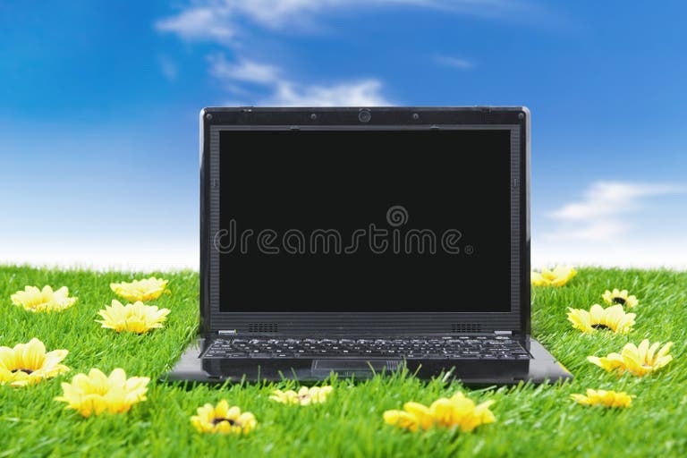Laptop Computer Surrounded by Sunflowers Stock Photo - Image of ...