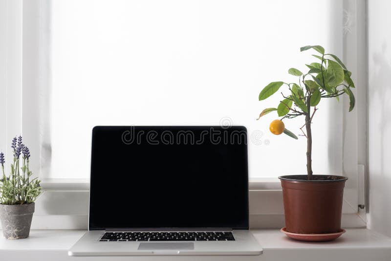 Laptop Computer on the Table in Office Editorial Photography - Image of ...