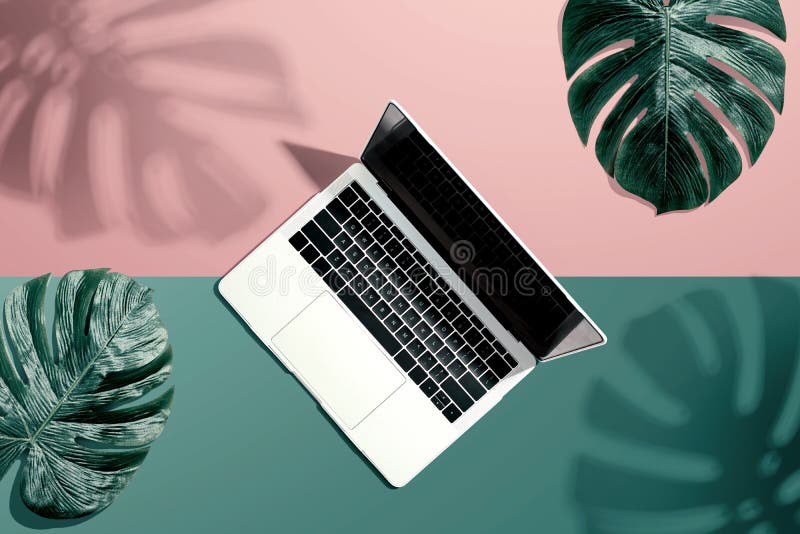 Laptop Computer with Tropical Leaves Stock Image - Image of digital ...