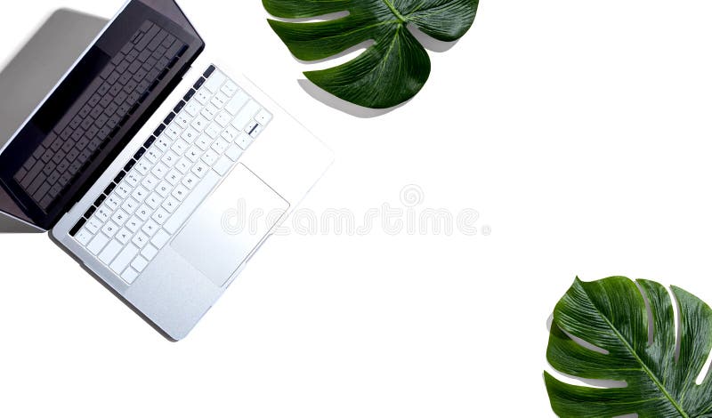 Laptop Computer with Tropical Plants Stock Image - Image of green, desk ...