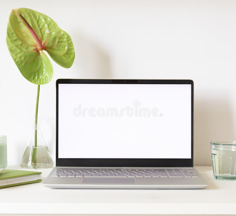 Laptop or Computer with White Screen on the White Table with Anthurium ...