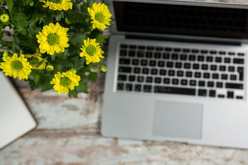 Laptop and flower vase stock photo. Image of flower, vase - 84094686
