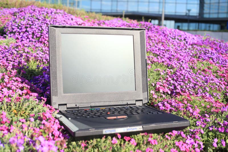 Laptop on flowers stock photo. Image of relaxation, modern - 24943058