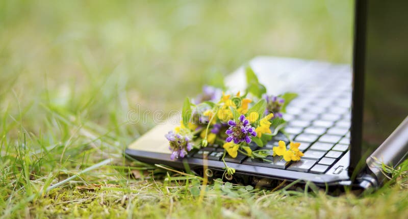 Laptop and Flowers in the Grass, Home Office Concept Stock Image ...
