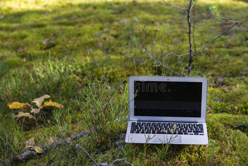 Laptop in Forest, Business Travel Stock Photo - Image of outdoor ...