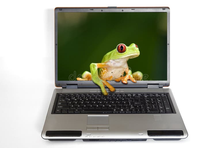 Laptop with Frog Getting Out Stock Image - Image of tech, office: 7505455