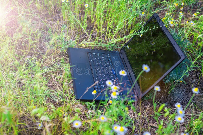 Laptop on green grass stock photo. Image of energy, nature - 118887224