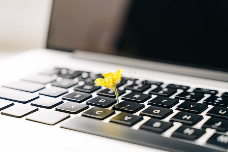 Laptop Keyboard with Yellow Flower Growing on it. Green it Computing ...