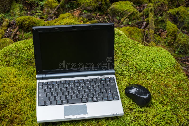 Laptop on a moss stock image. Image of plant, natural - 181115139