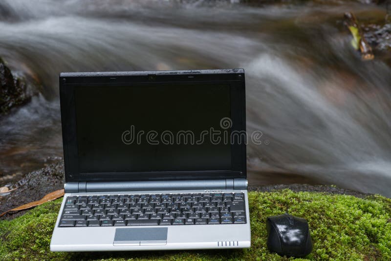 Laptop on a moss stock photo. Image of button, information - 181115152