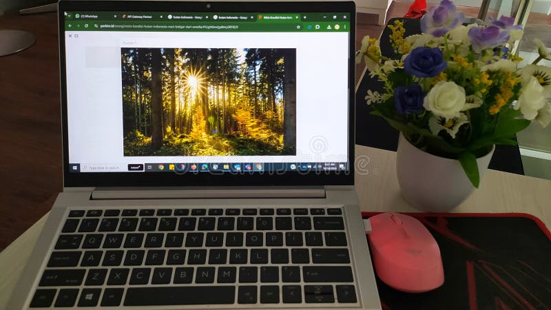 Laptop and Mouse with Flowers on a Table in a Cafe Editorial ...