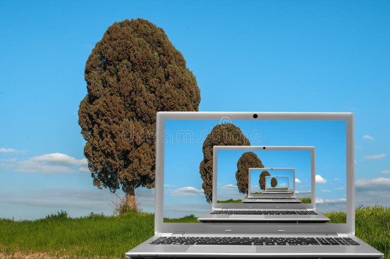 Laptop in nature stock photo. Image of screensaver, telenvision - 49633956