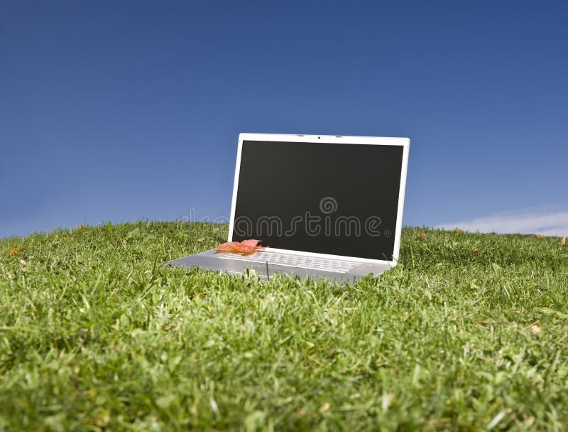 Laptop Keyboard in a Green Field Stock Photo - Image of silver ...