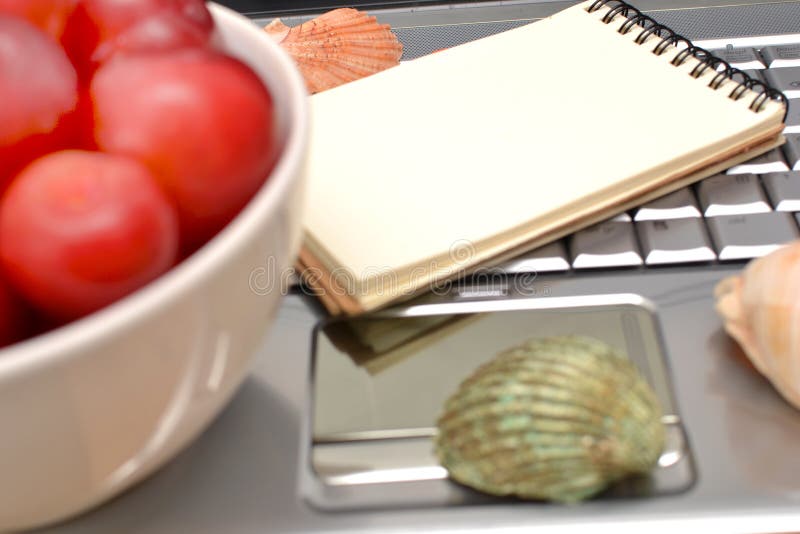 Laptop, plums and shells stock image. Image of little - 42625019