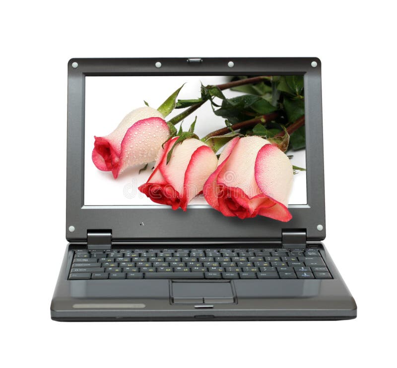 Laptop with roses bouquet stock photo. Image of mobility - 15968646