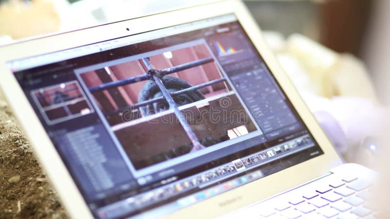 Laptop Screen with Processing Program Photo of Stock Video - Video of ...
