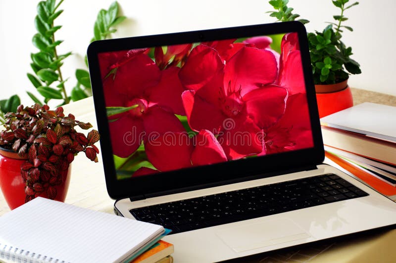 Laptop Screen with Red Flowers on Screen Stock Image - Image of mobile ...