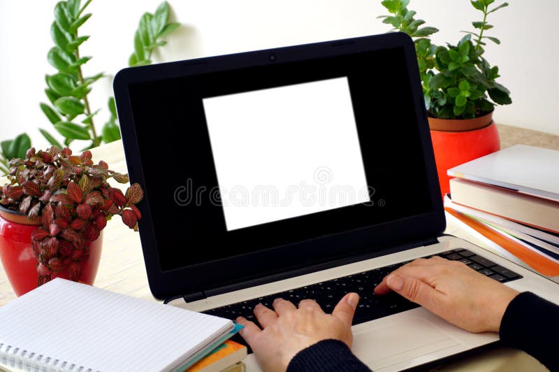 Laptop Screen with a White Square on it and the Woman Hands Typing on ...