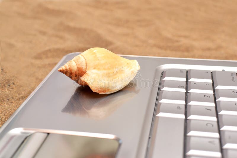 Laptop and shell on sand stock photo. Image of sand, summer - 42529362