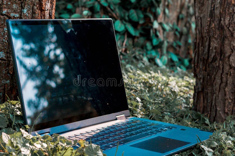 Laptop Sitting in the Grass Under the Shade of a Tree Stock Photo ...
