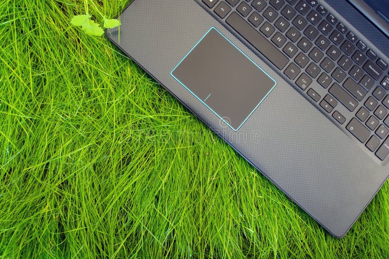 Laptop Standing on the Green Grass. Remote Work Concept Stock Image ...