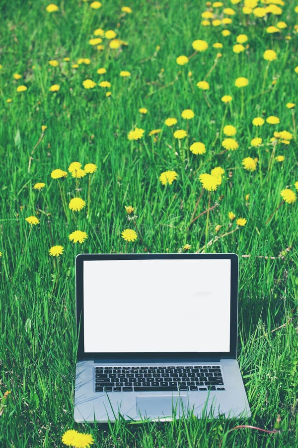 Laptop in Summer Grass Field Stock Image - Image of keyboard ...