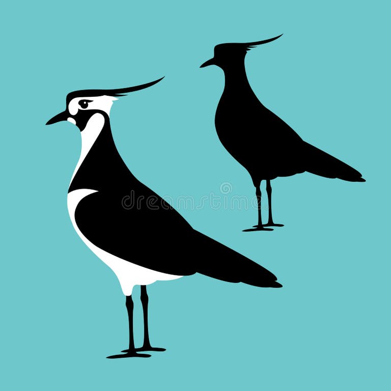 Lapwing Stock Illustrations – 546 Lapwing Stock Illustrations, Vectors ...