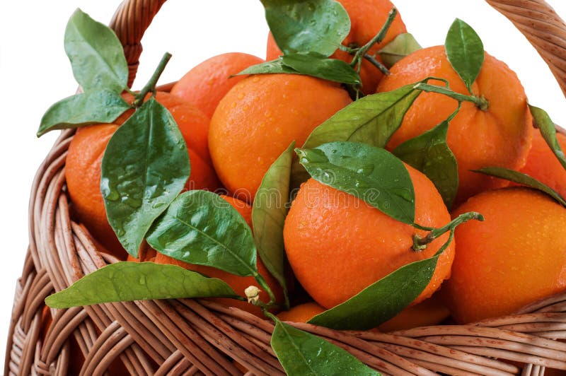 Laranjas Frescas Na Cesta Com Folhas Imagem de Stock - Imagem de ...