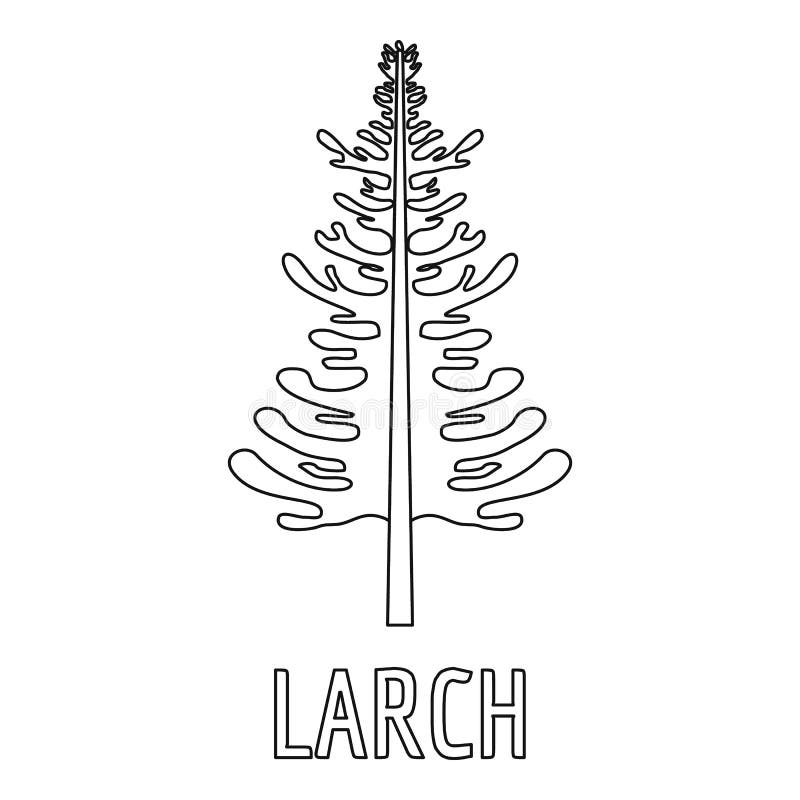 Larch icon, outline style. stock vector. Illustration of tree - 106968865