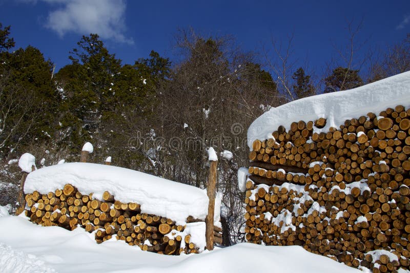 Larch Lumber on Snow in Winter Forest Stock Photo - Image of logs ...