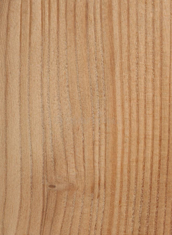 Ash Tree Texture stock photo. Image of desk, texture, home - 6871446