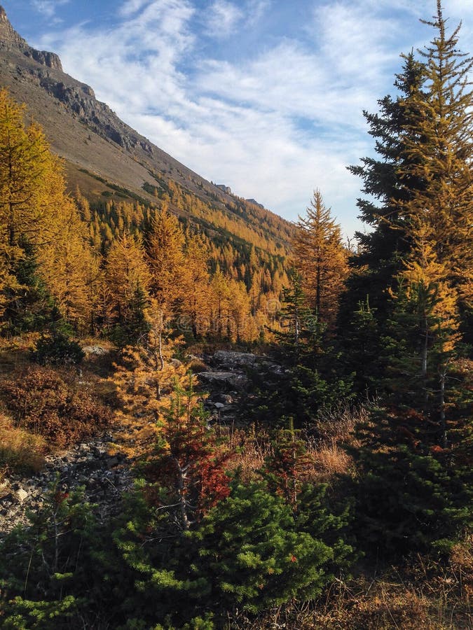 Larch Valley from Sentinel Pass in Banff National Park Stock Photo ...