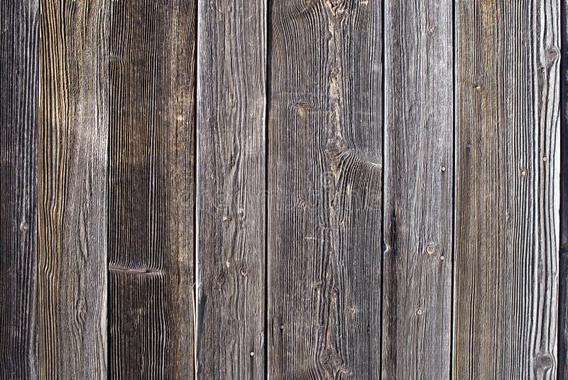 Larch wood stock photo. Image of larch, background, wood - 66736824