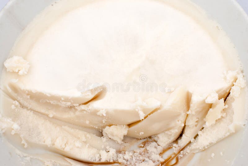 Lard stock photo. Image of gastronomy, food, lard, fast - 66481232
