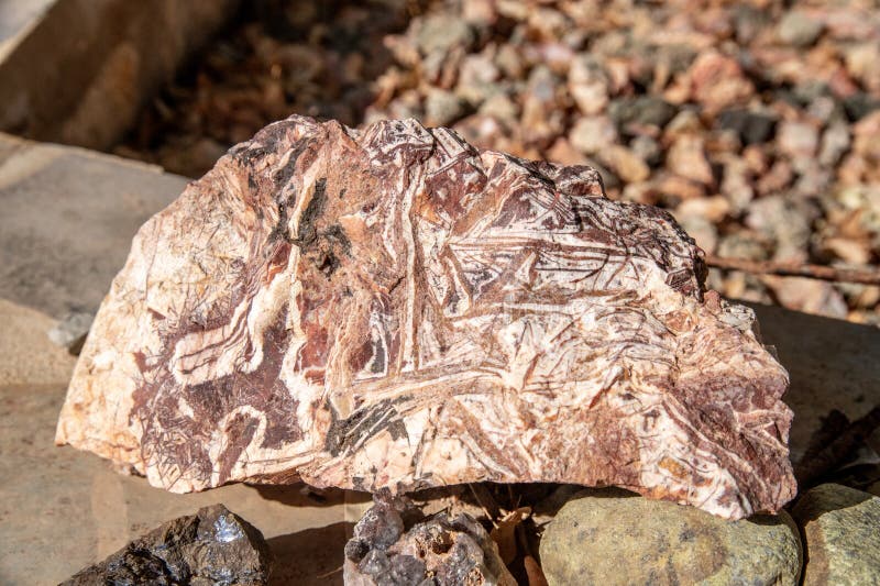 Large Agate Stone with Natural Lines and Textures on Stone Base Stock ...