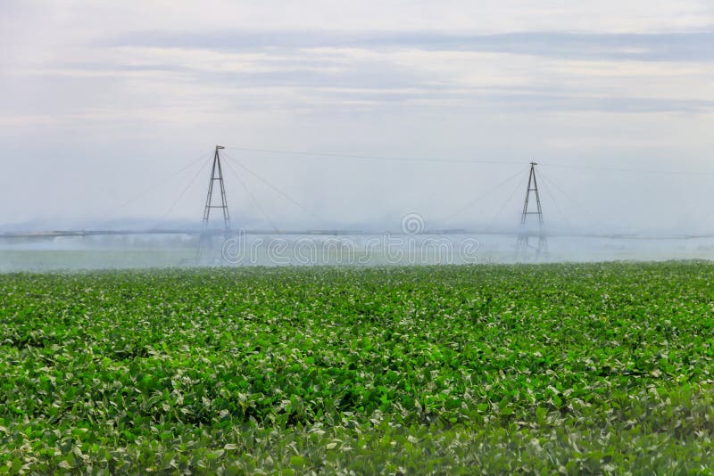 Large Agricultural Irrigation System in Field Stock Image - Image of ...