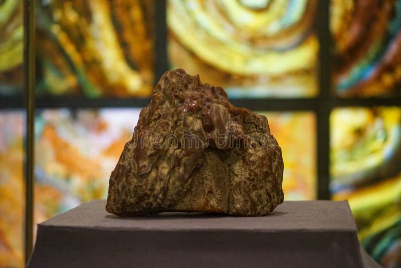 Large Amber Stone on a Light Surface Editorial Photo - Image of russia ...