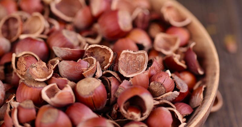 Debris Left after Peeling the Hazelnuts from the Shell Stock Video ...