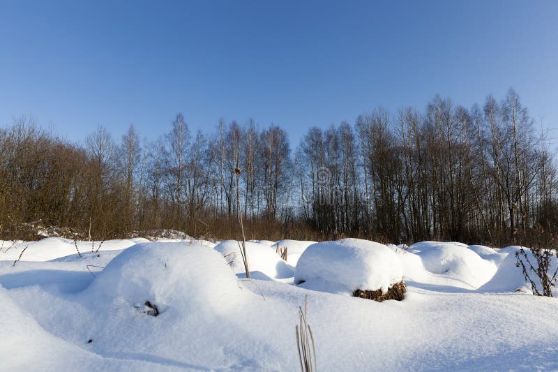 A Large Amount of Snow in Snowdrifts in Winter Stock Image - Image of ...