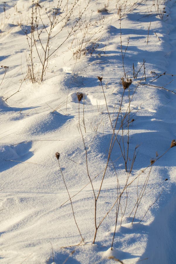 A Large Amount of Snow in Snowdrifts in Winter Stock Photo - Image of ...