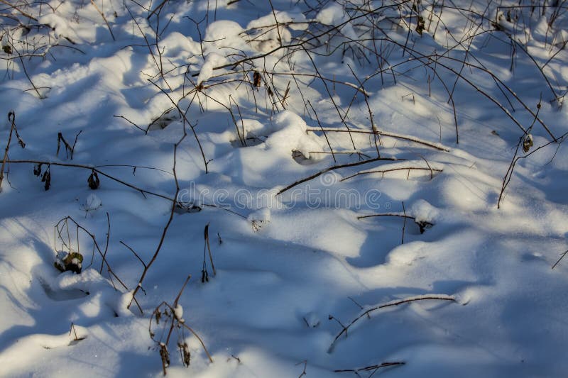 A Large Amount of Snow in Snowdrifts in Winter Stock Image - Image of ...