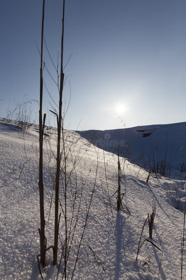 A Large Amount of Snow in Snowdrifts in Winter Stock Image - Image of ...