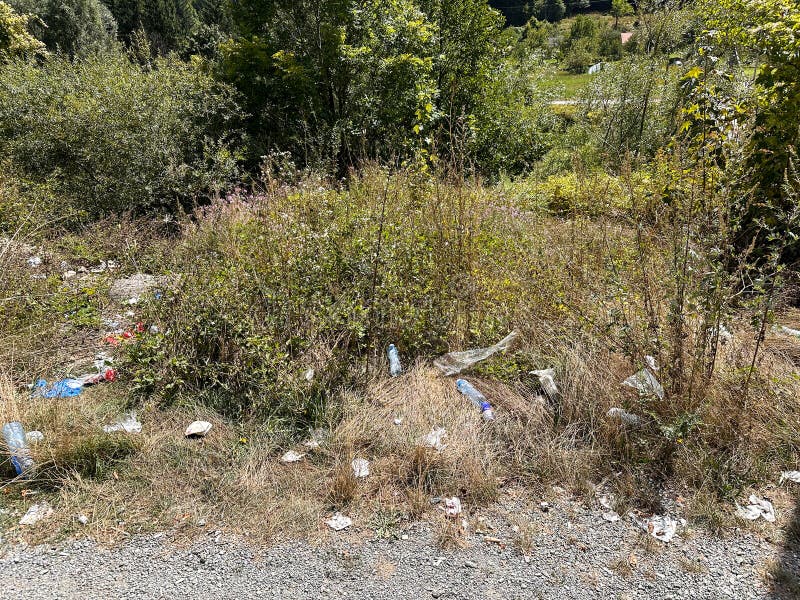 Large Amount of Waste on the Side of the Road in Bushes and on the ...