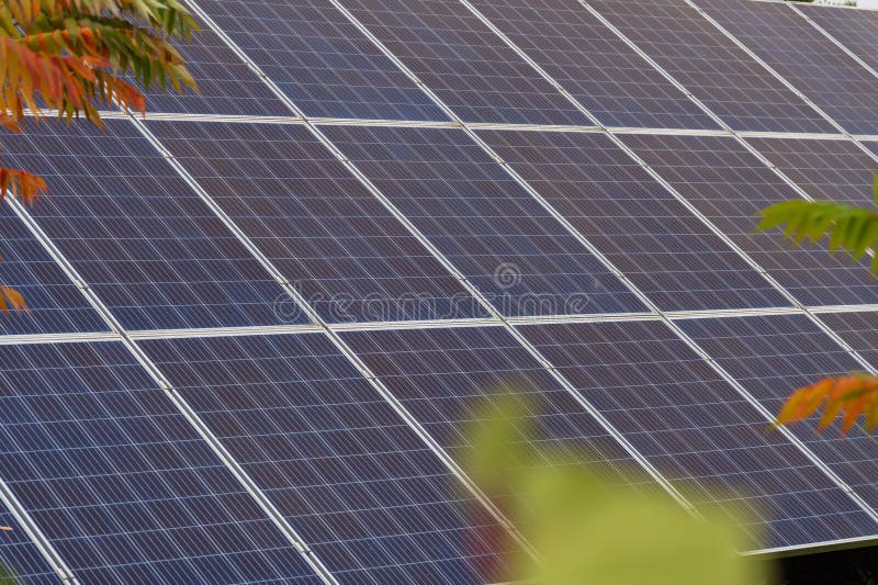 A Large Array of Solar Panels Captures Sunlight Efficiently ...