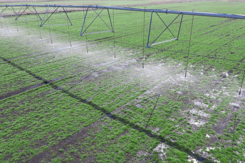 Automated Irrigation System on Agricultural Field. Drone View. Stock ...