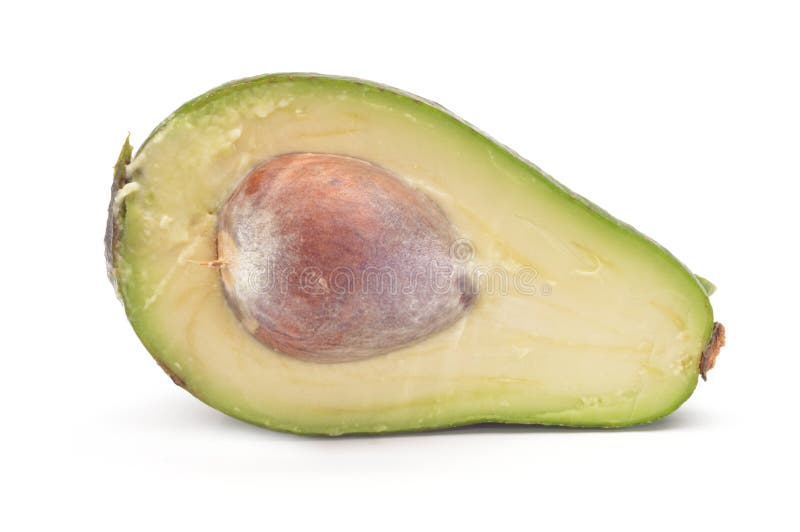 Large avocado stock image. Image of smooth, sweet, eating - 26515513