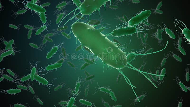 Large bacterial colony stock illustration. Illustration of human - 34242693